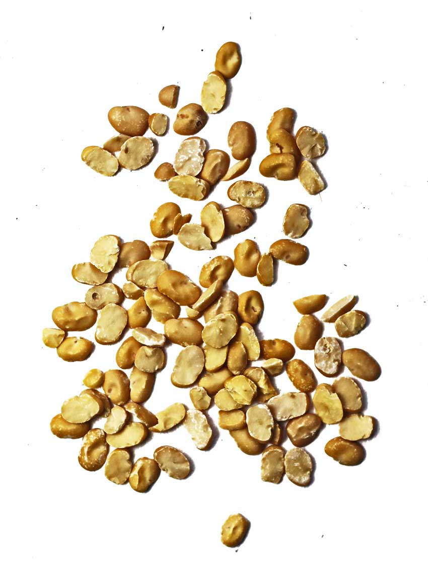 Ackerbohnen-Püree (Fave) mit gedünsteten Zwiebeln - Bean Beat